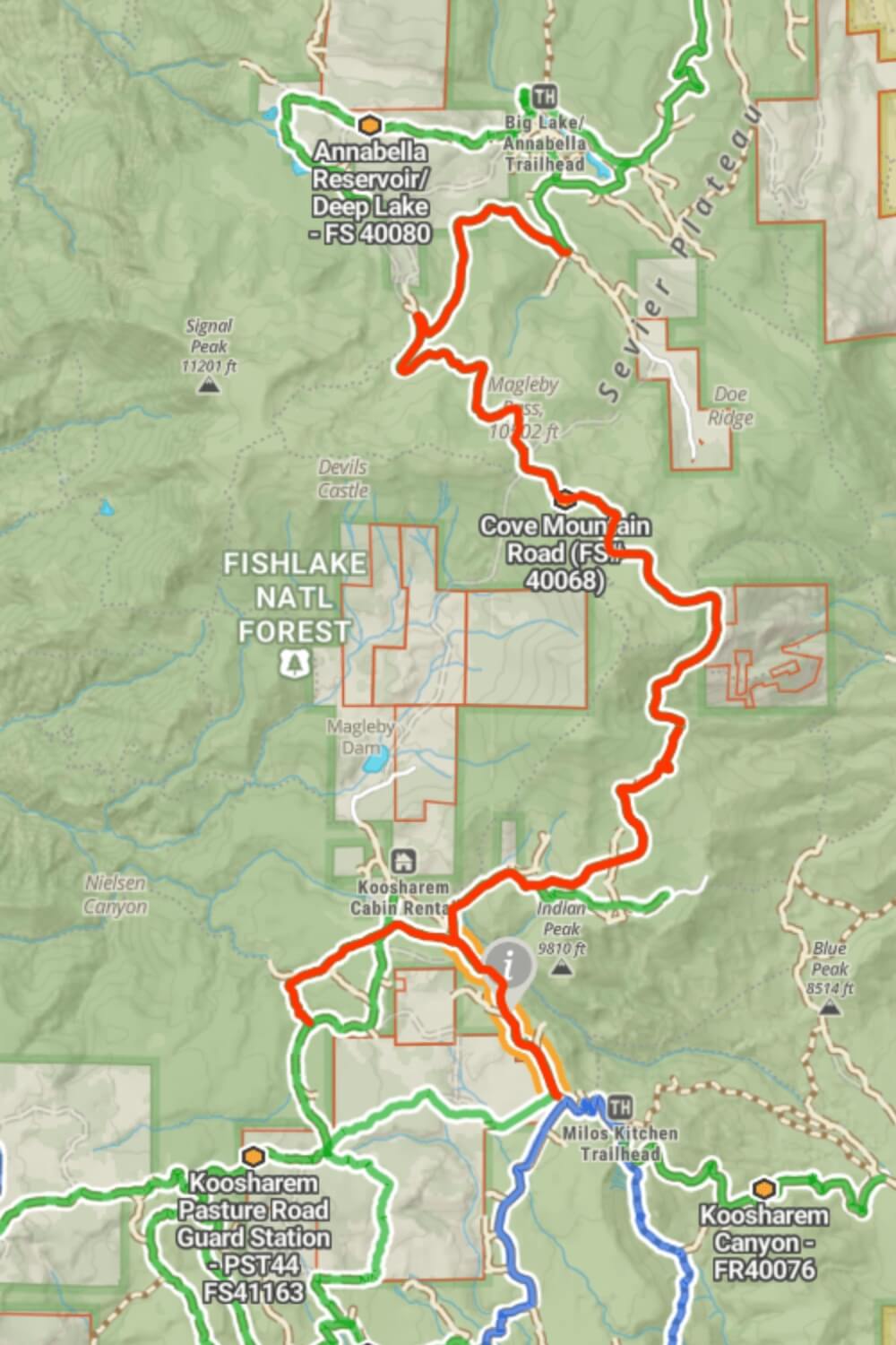 Cove Mountain Trails - Utah UTV Rentals