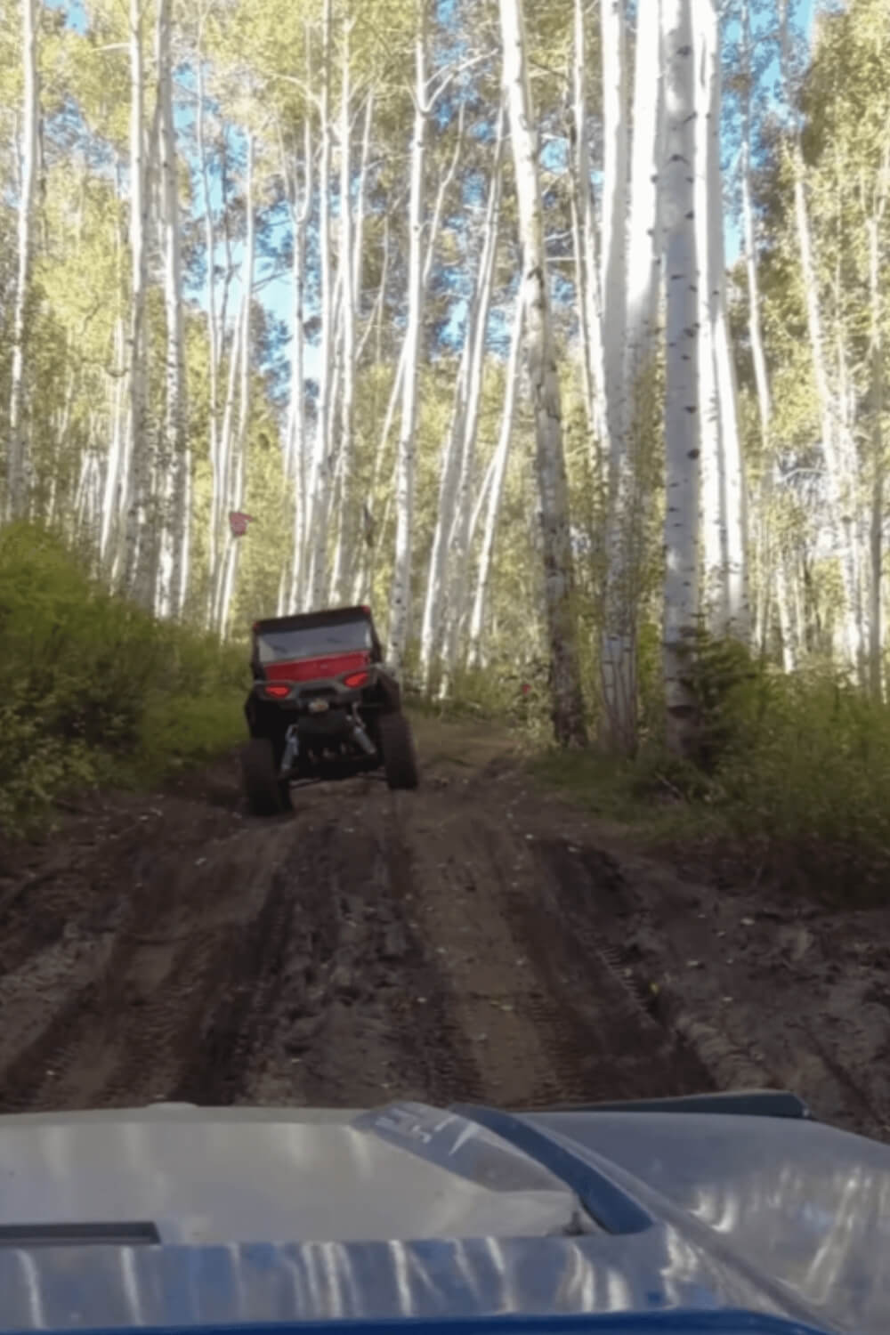 Ephraim Canyon Side Trail - Utah UTV Rentals