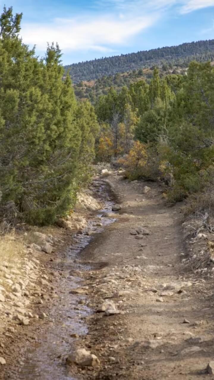 Utah UTV Rentals Gunnison - Utah UTV Rentals