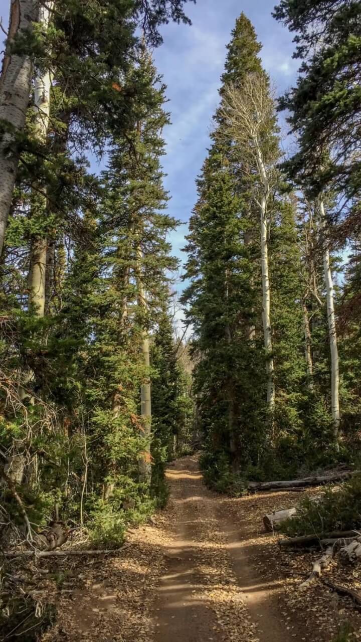 Sevier County UTV Rentals - Utah UTV Rentals